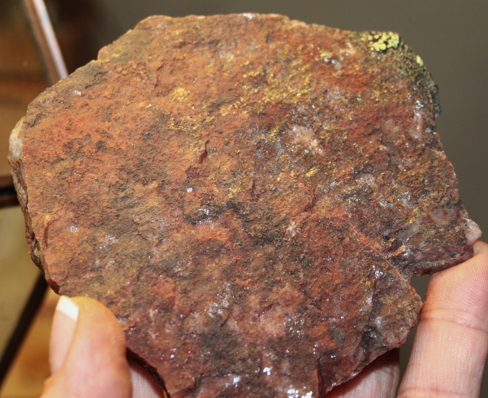 Rocks of Wyoming: Stones found in the Bighorn Mountains of Wyoming