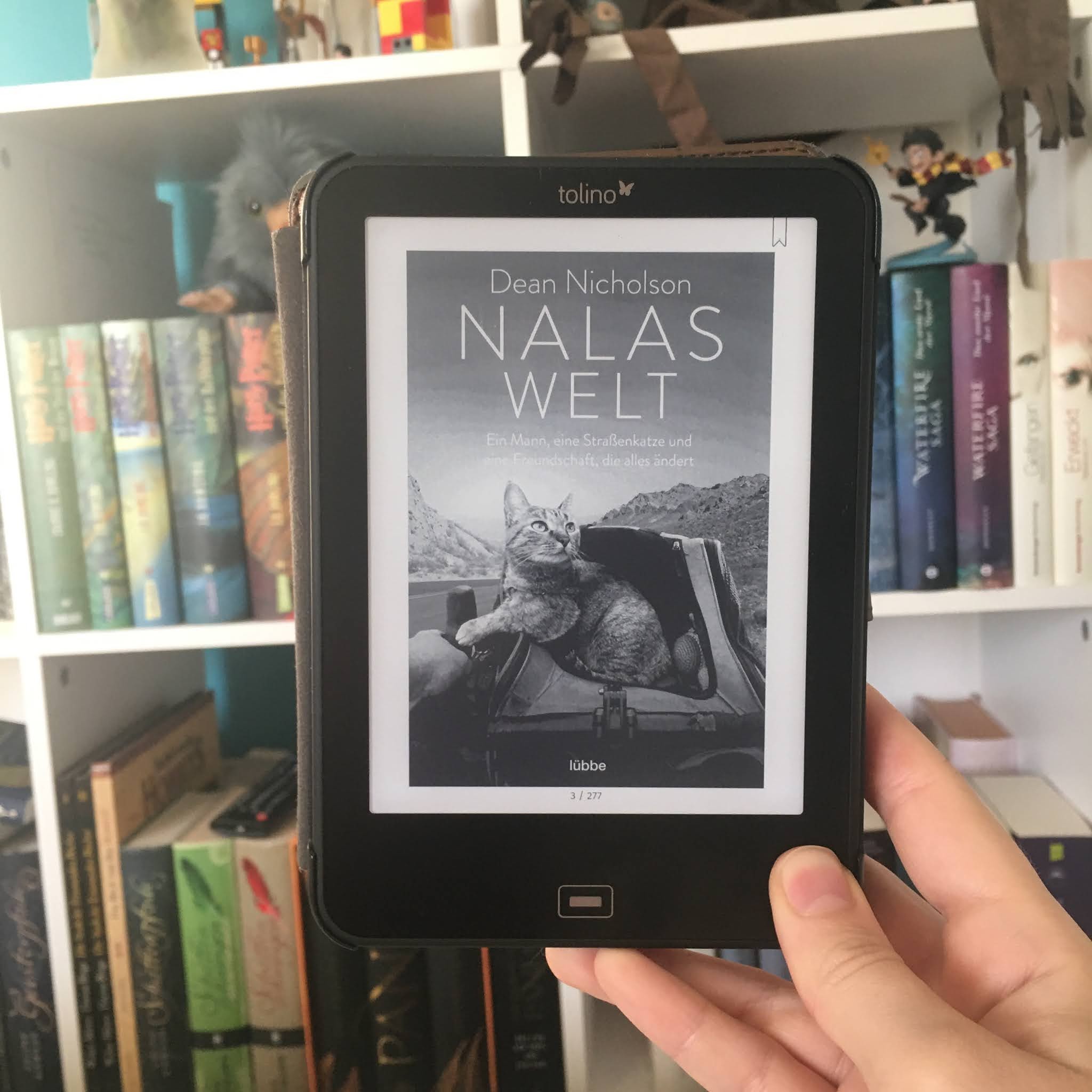 Nalas Welt - Dean Nicholson - Rezension