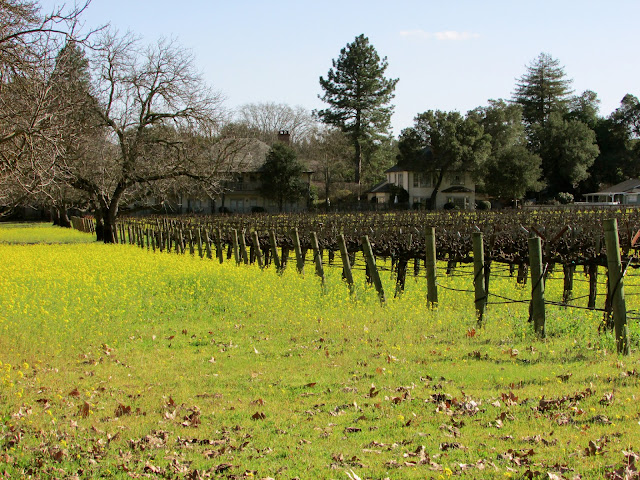 One Designing Woman: Napa Style