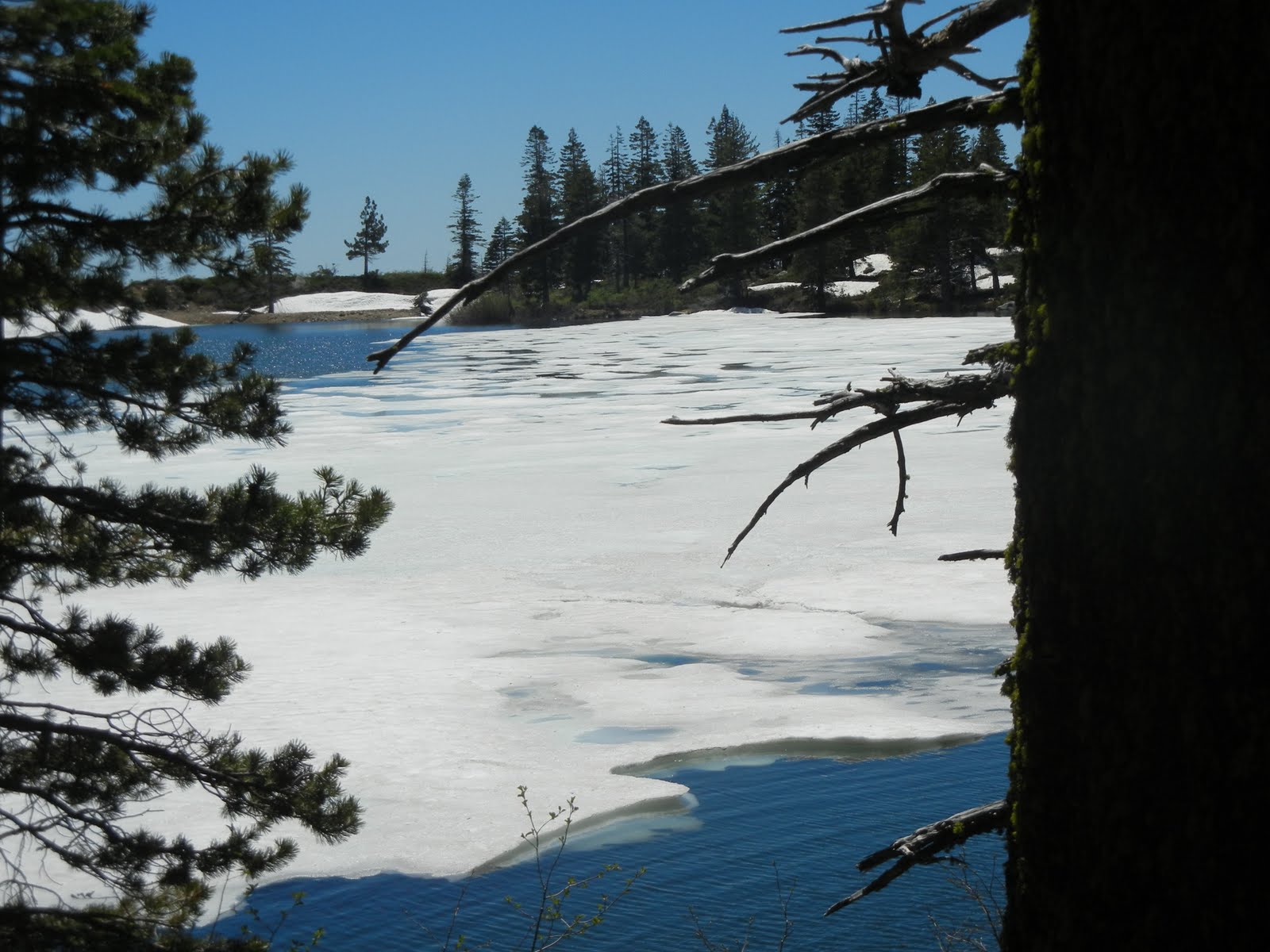 Peachy Hiker: 2018 updates Grouse Lakes Basin Trails