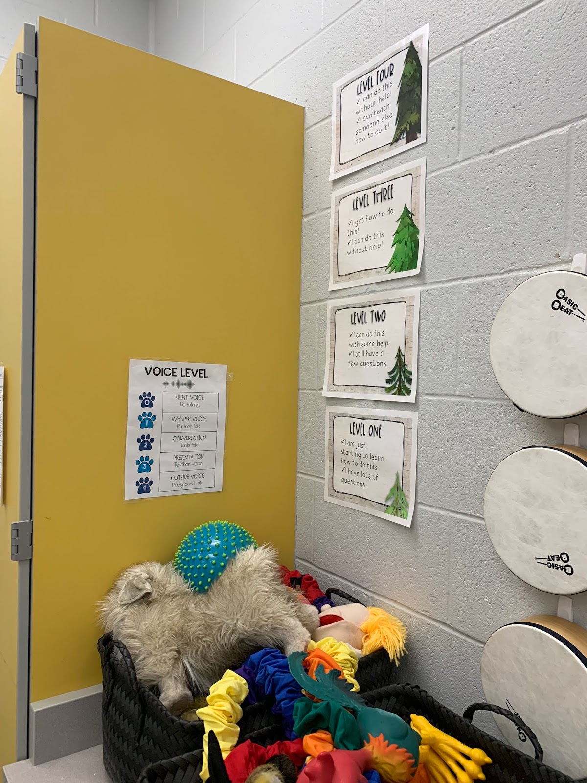 Classroom Reveal, Camping Theme - Aileen's Music Room