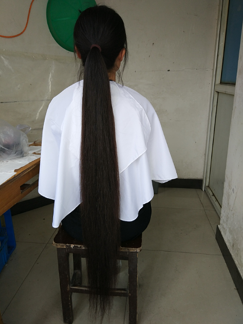 Chinese Ponytails