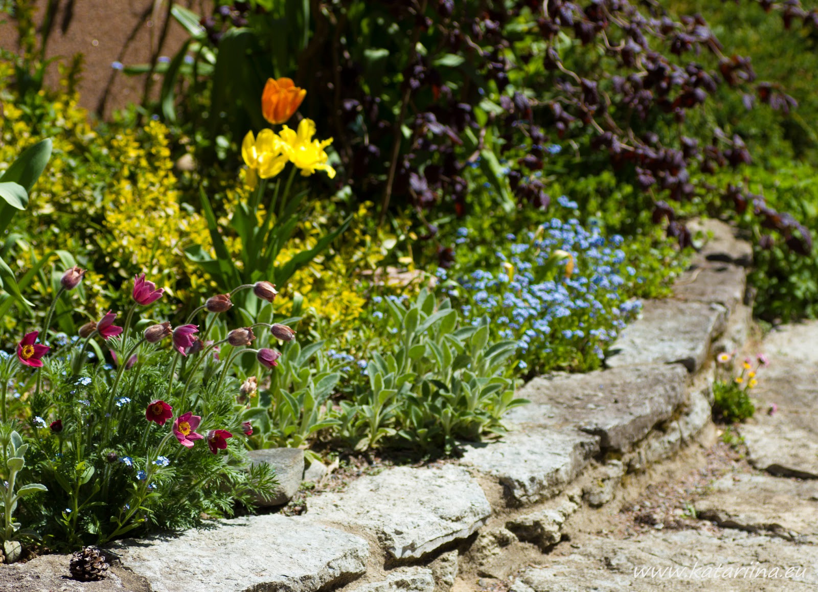 Katariina kudugurmee: Kevad on aias.