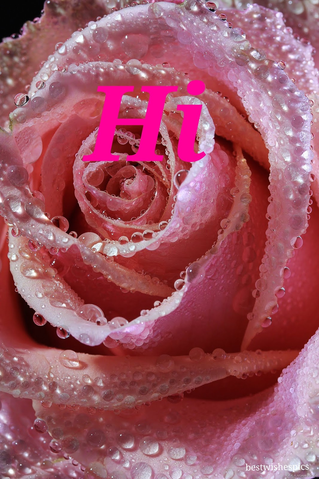 Top 10 Hi Images, Greetings, Pictures for whatsapp Facebook - Good Morning