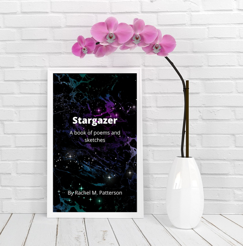 Nicolie-Olie's Meanderings: Stargazer Book Review and Giveaway