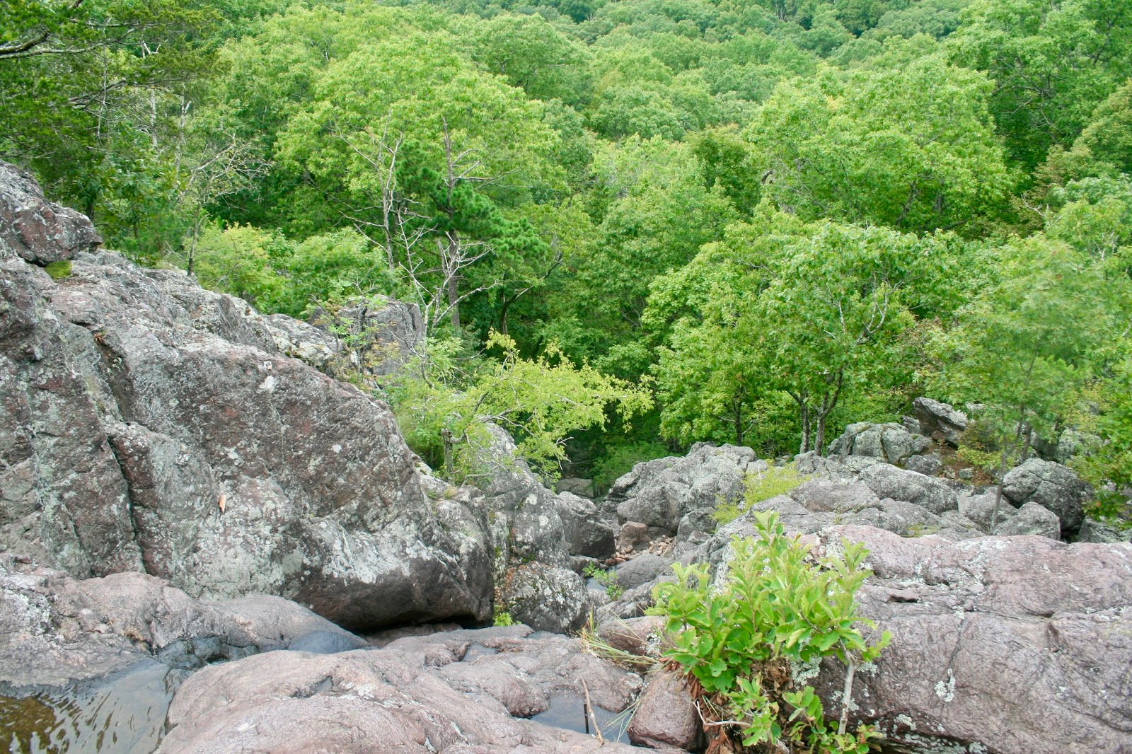 Amy's Creative Pursuits: Taum Sauk Mountain State Park