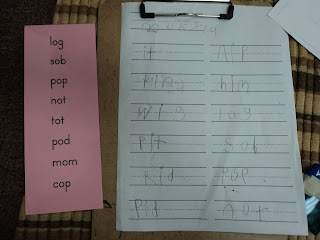 Crazy About Montessori: Pink Word Lists