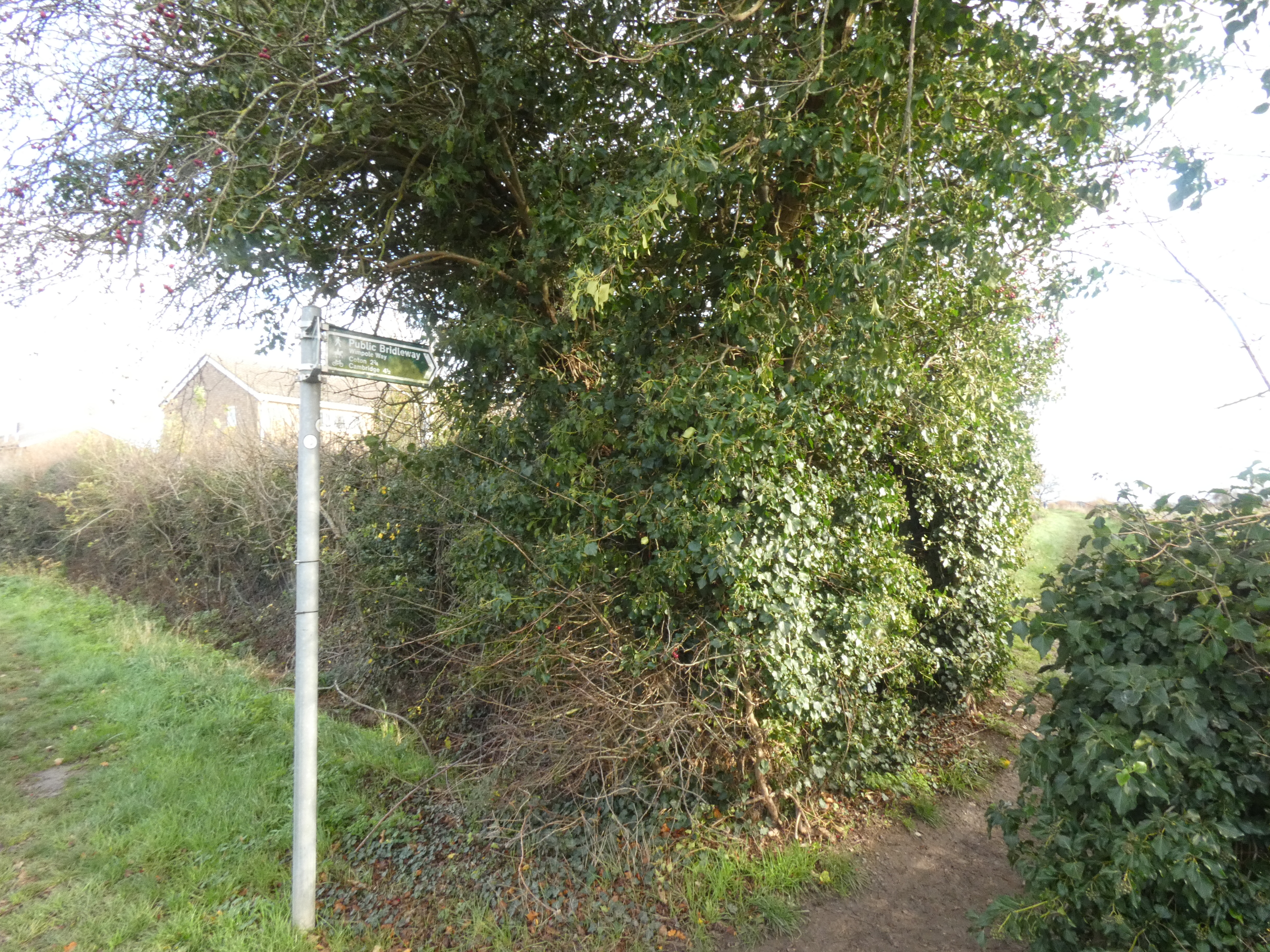 Boz North's Trail - Walking Blog: Whaddon to Cambridge via The Wimpole ...