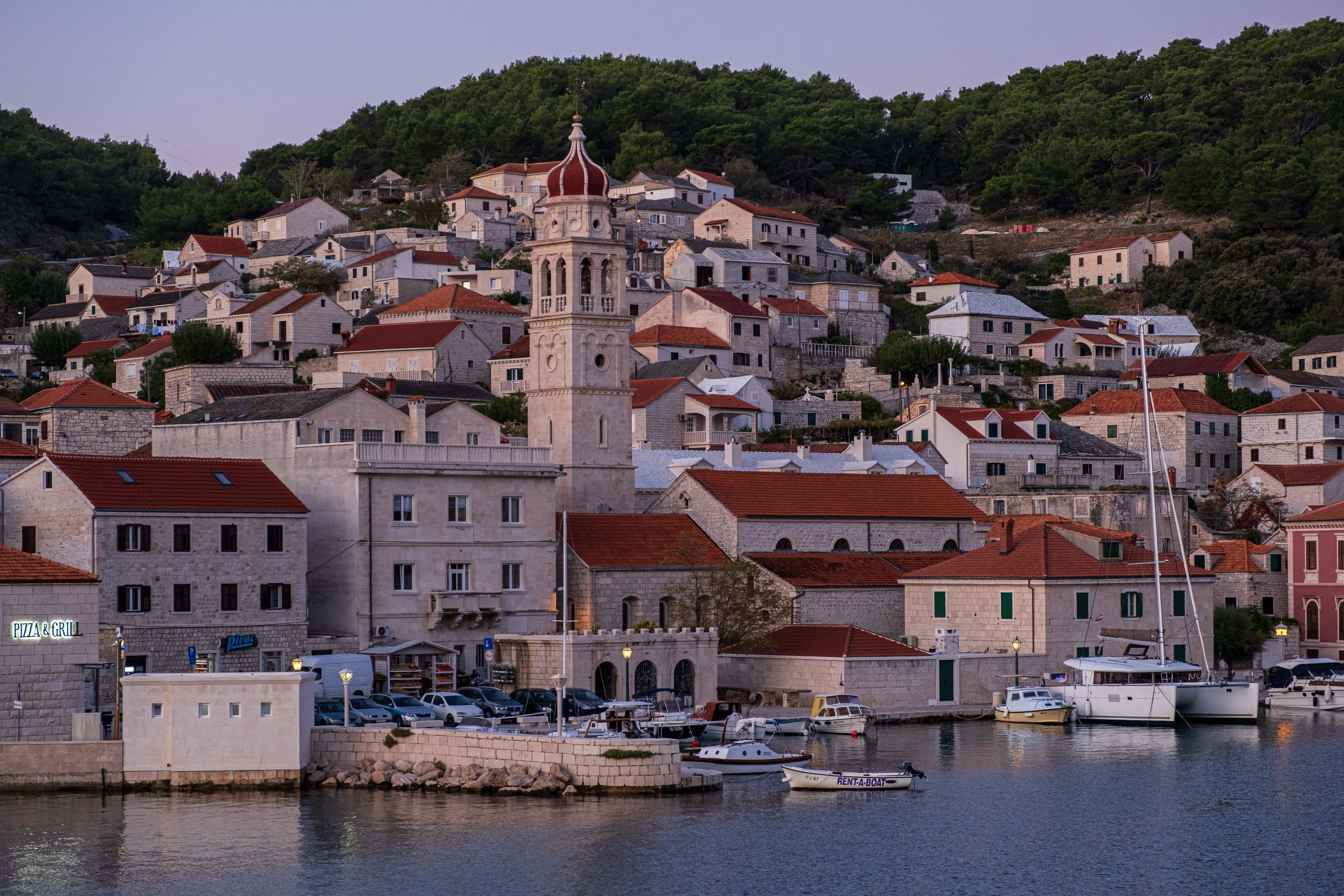 The Garden of Needles: 2020