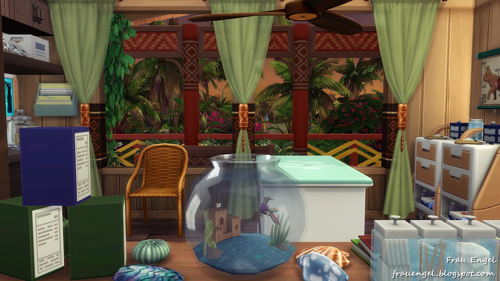 Frau Engel: Bird of Paradise Vet clinic. No CC.
