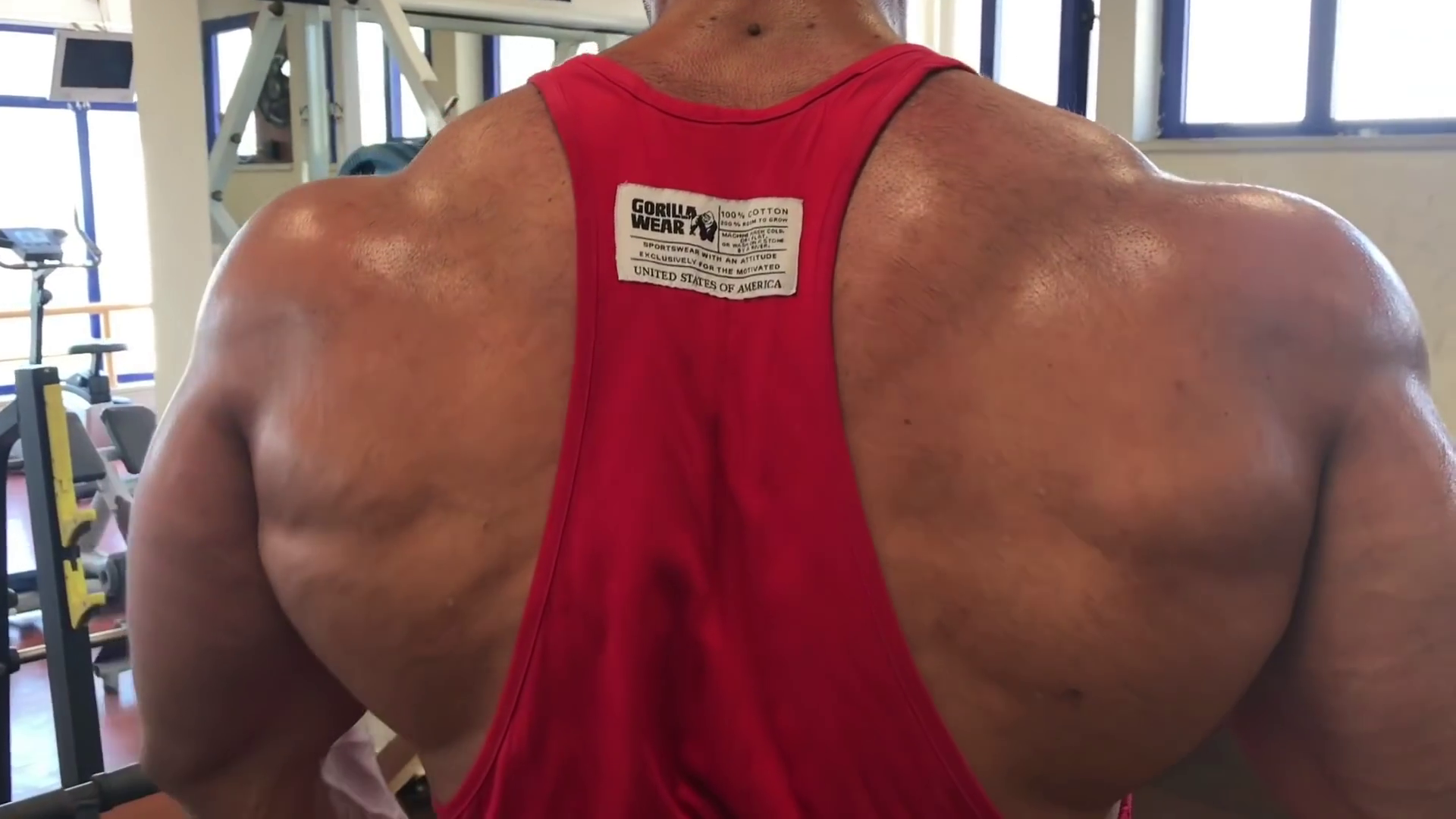 Muscle Lover: Turkey