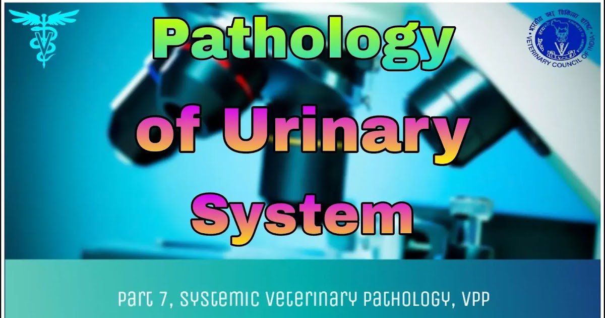 Pathology of Urinary System.