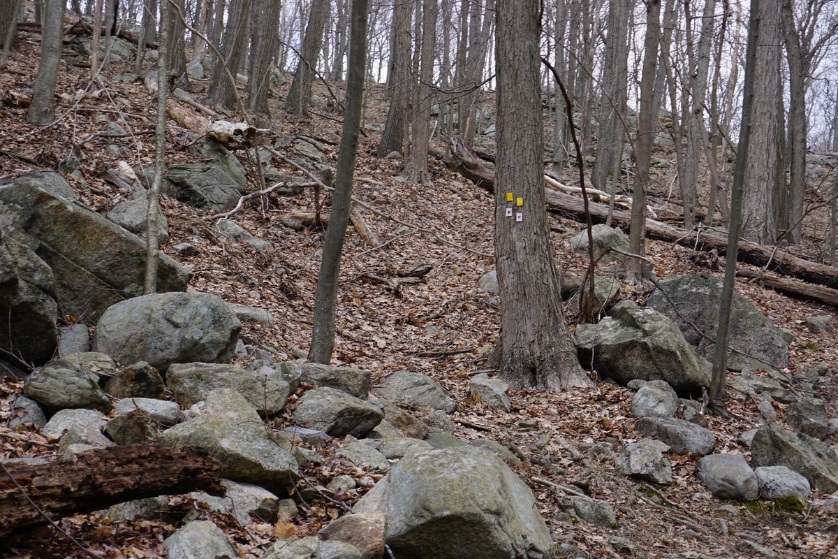 Harriman Hiker: Harriman State Park and Beyond: Catamount Mountain to ...