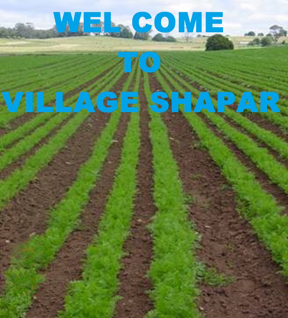 MY VILLAGE SHAPAR: AGRICULTURE