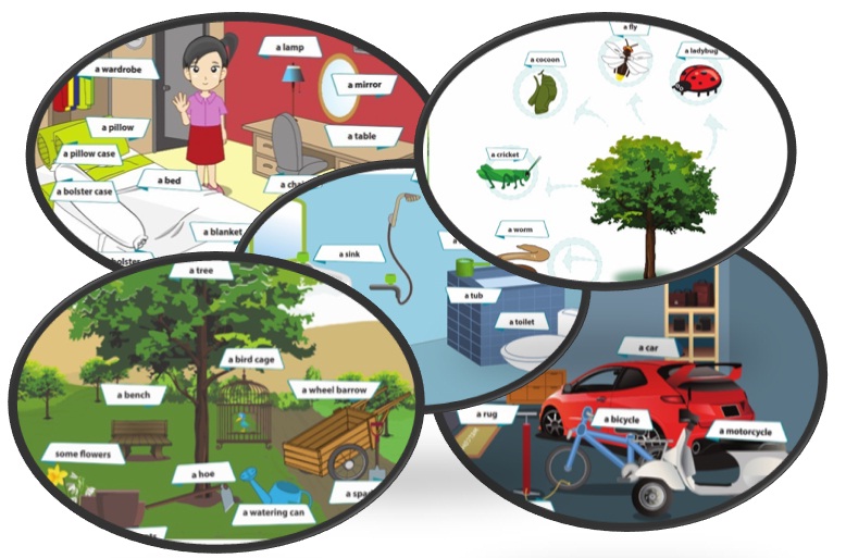 Kosa Kata Vocabulary Things Around Us Lengkap Chapter Iv - Bang Pedia