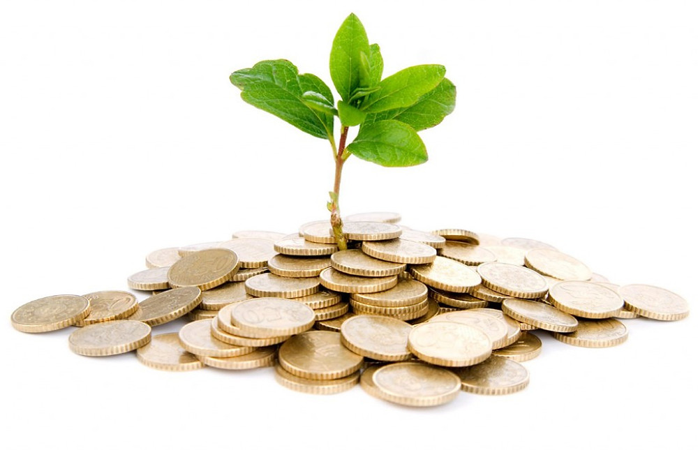 Sustentabilidad Económica