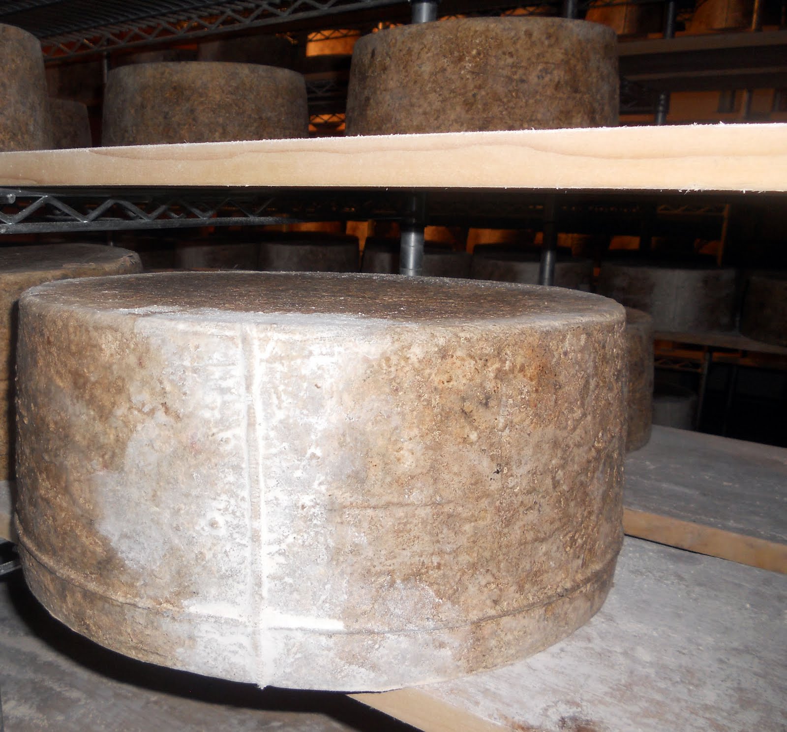 Spring 2011: Wisconsin Cheese Tour