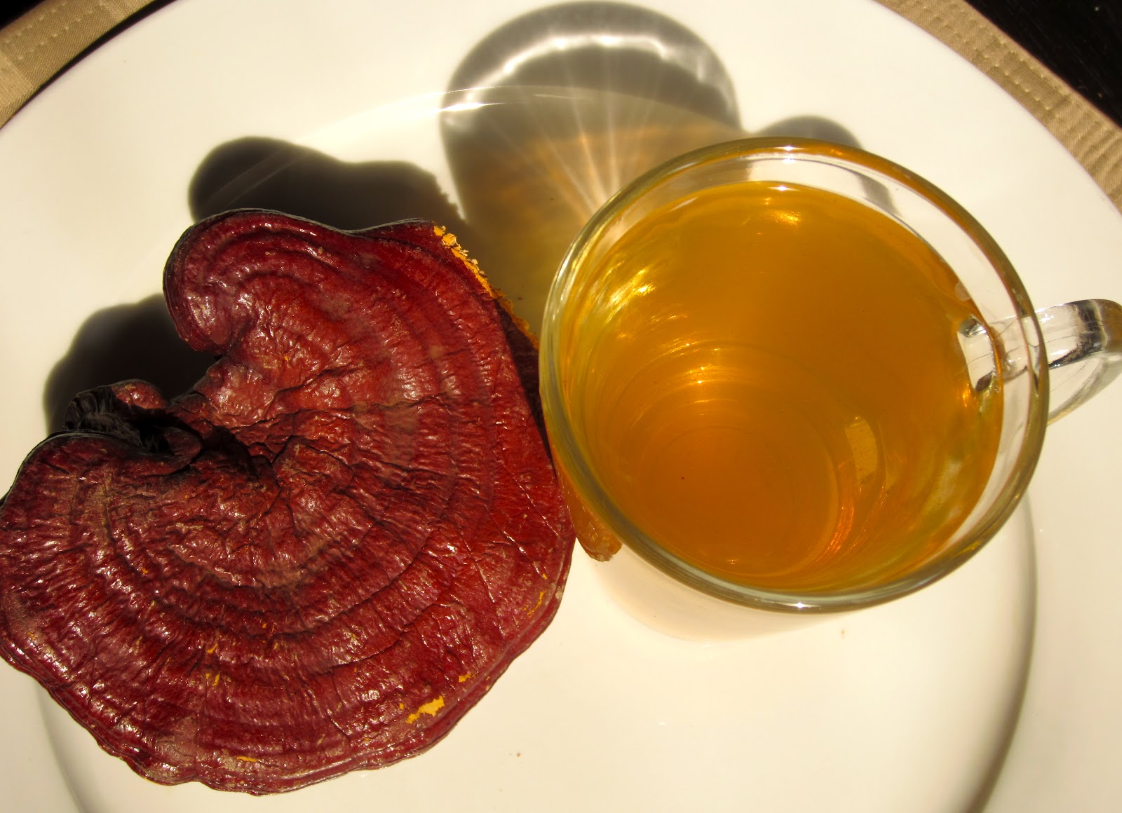 Herbolario Gijón: El hongo Reishi