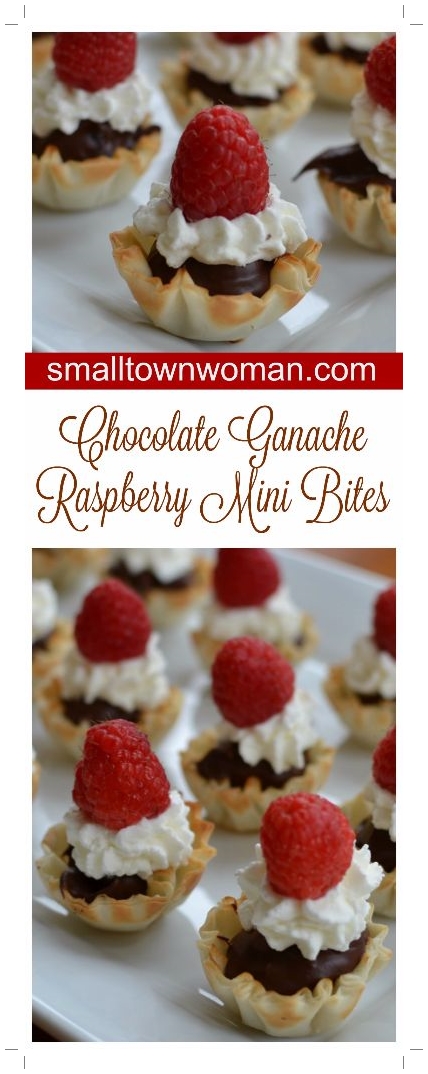 All chocolate cakes: Chocolate Ganache Raspberry Mini Bites