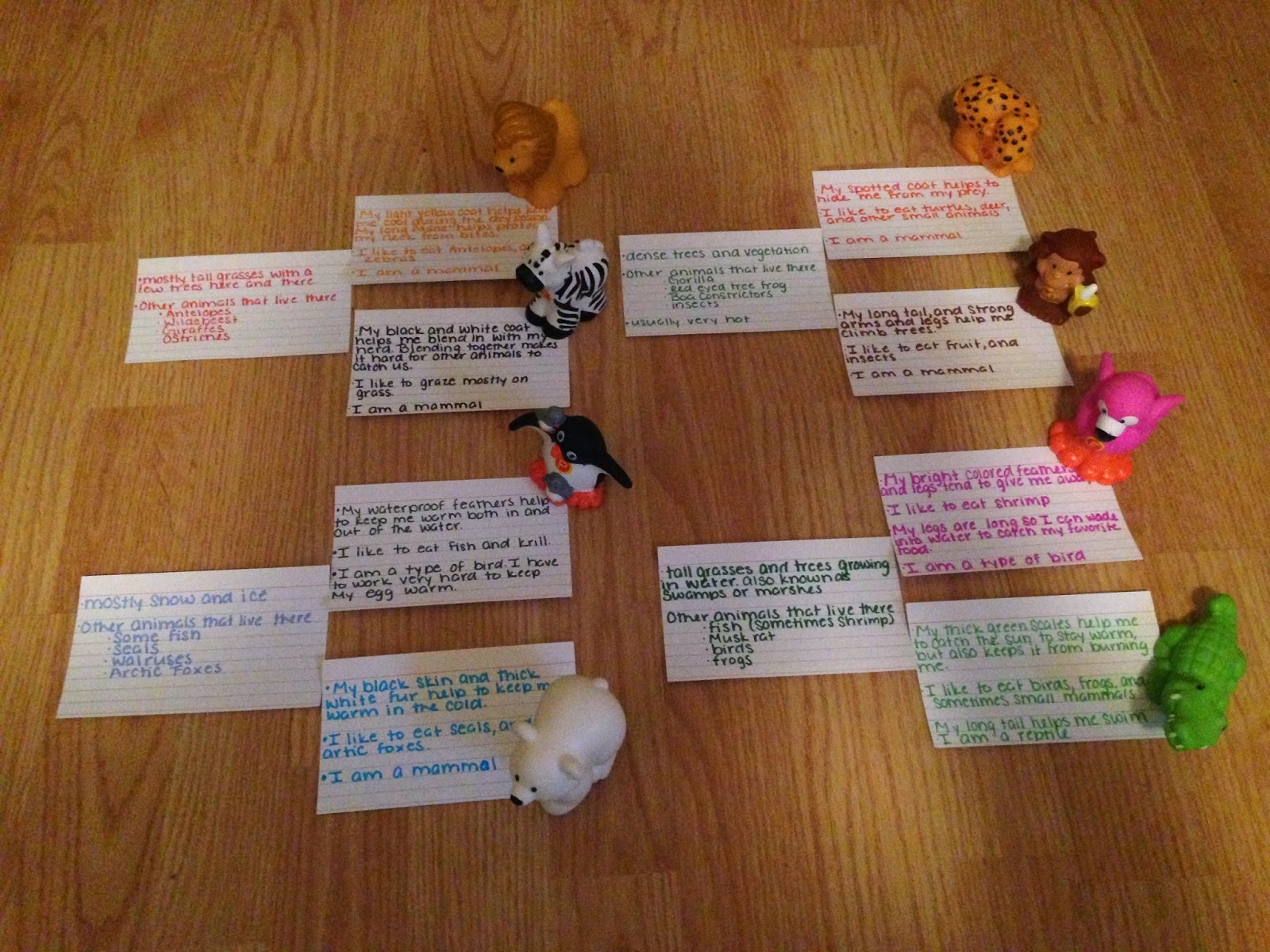 Let's Learn Science: Animal Habitat Investigation Box