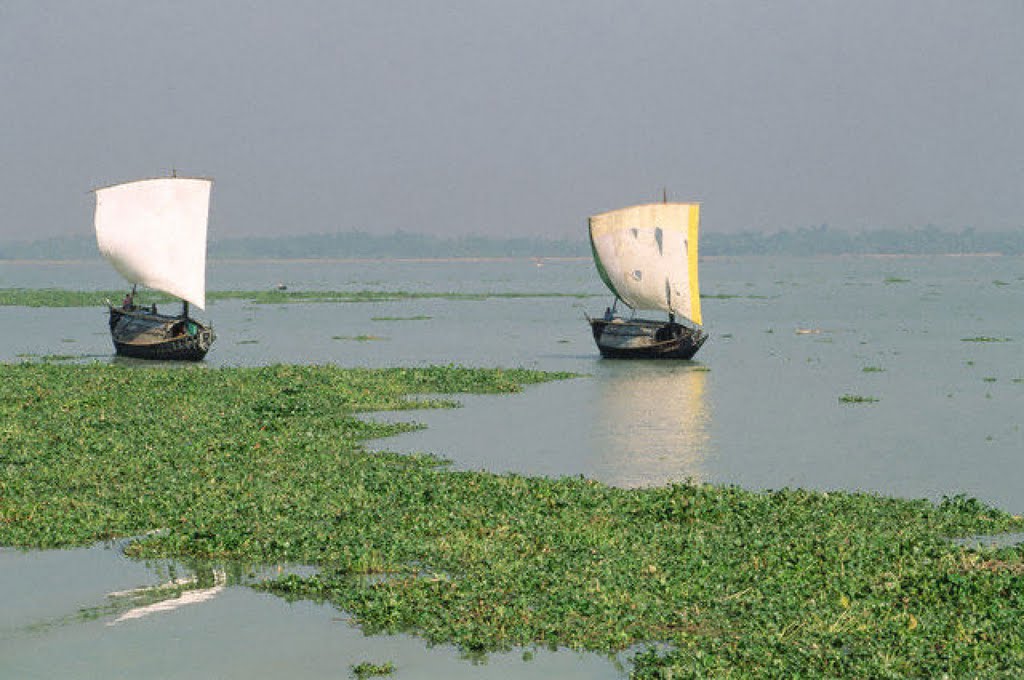 EXPLORE THE WORLD: Pirojpur, Bangladesh; Image Gallery