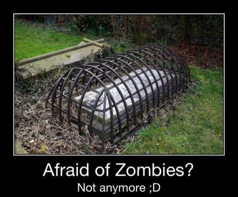 Quotes on Images: Afraid of Zombies?
