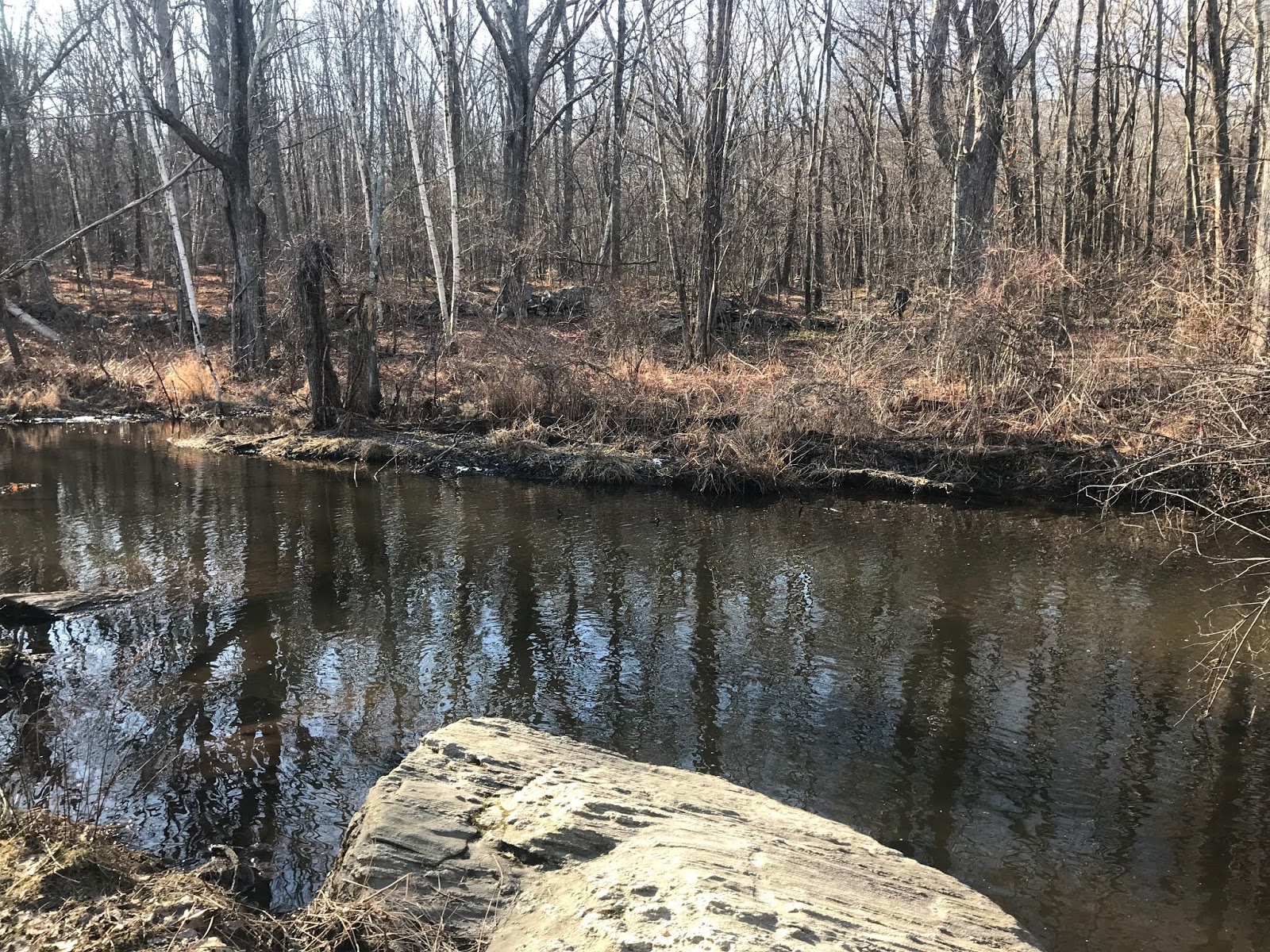 JCXC: GWLT Series: Broad Meadow Brook Wildlife Sanctuary