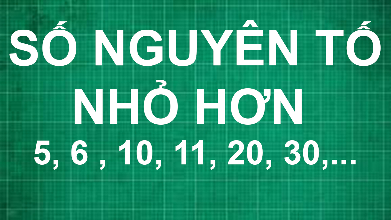 S Nguy n T Nh H n 5 6 9 10 11 15 20 30 To n L p 6 S ng T o Xanh s-nguy-n-t-nh-h-n-5-6-9-10-11-15-20-30-to-n-l-p-6-s-ng-t-o-xanh