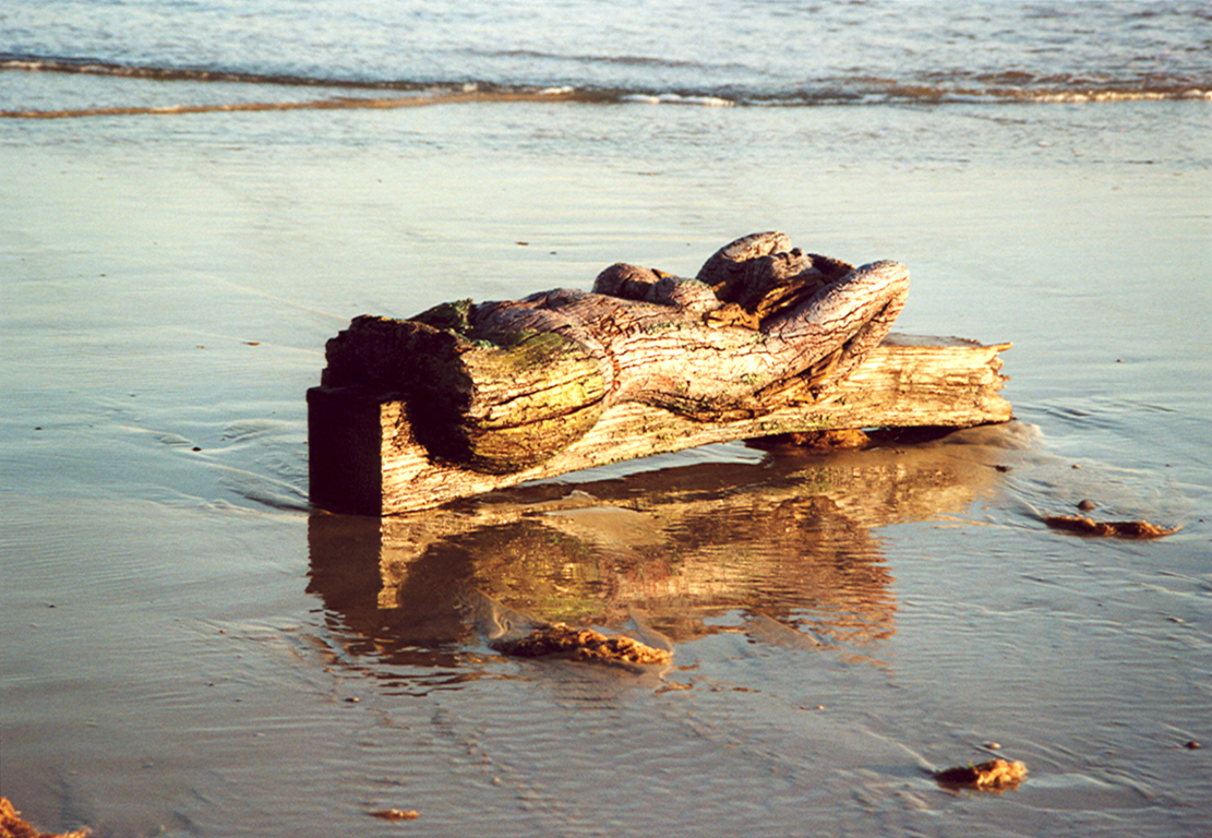 las gatas madrileñas: el ocaso de los mascarones de proa