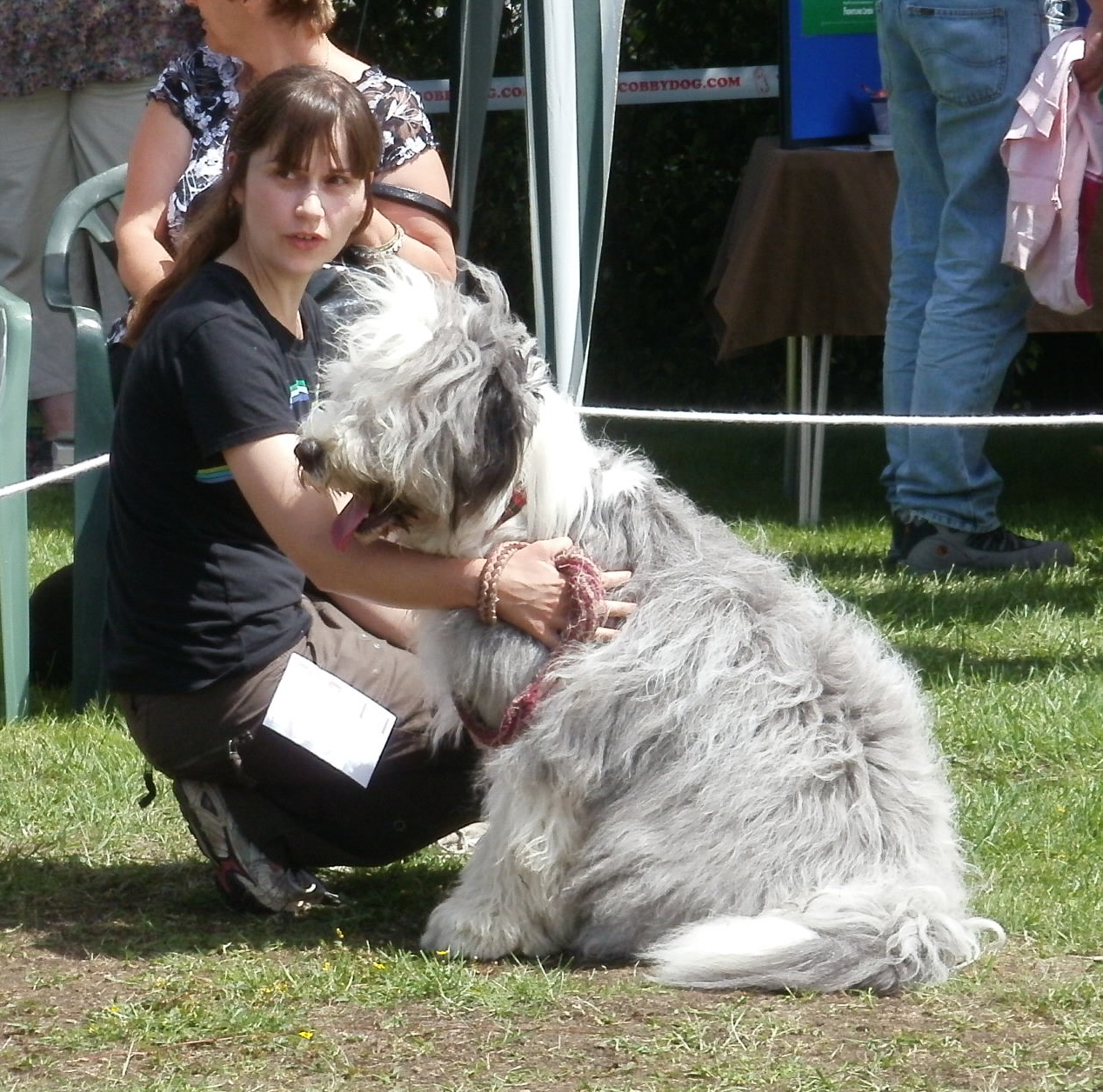 Practice Newsletter: The Great British Dog Show