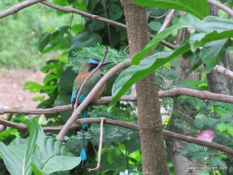 Nicaragua - People and places: Guardabarranco