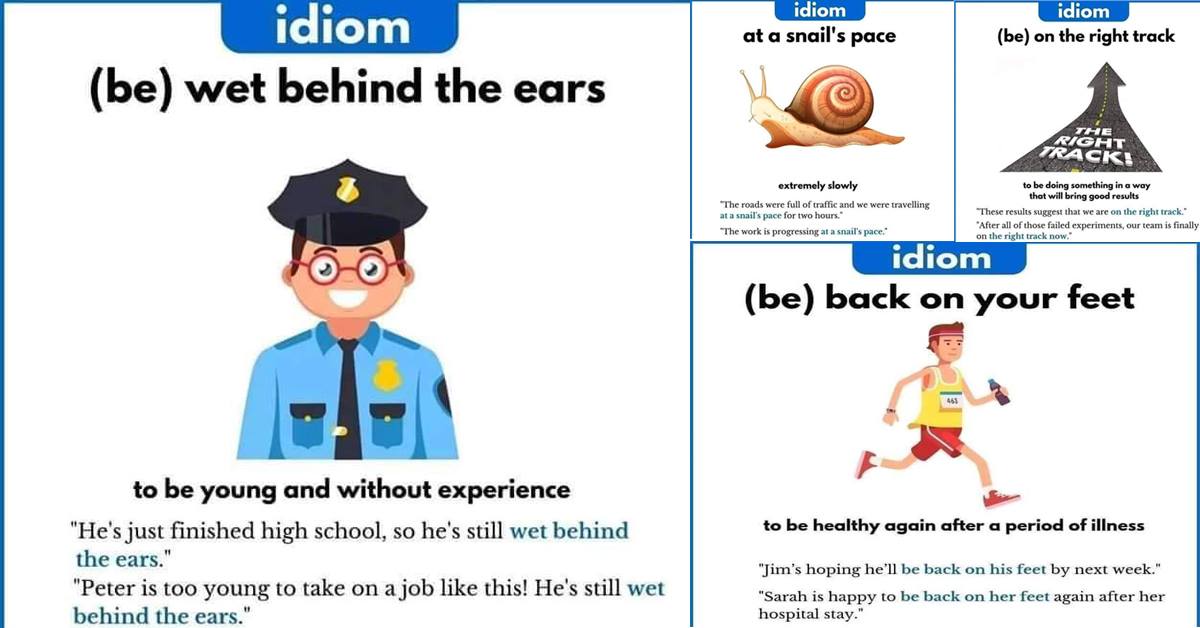IDIOMS 19 Sets - The Teacher's Craft