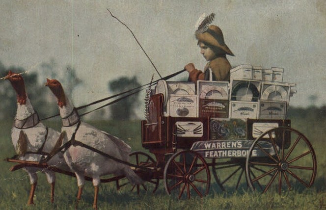 Everyday Dutch Oven: Apple Braised Turkey Thighs