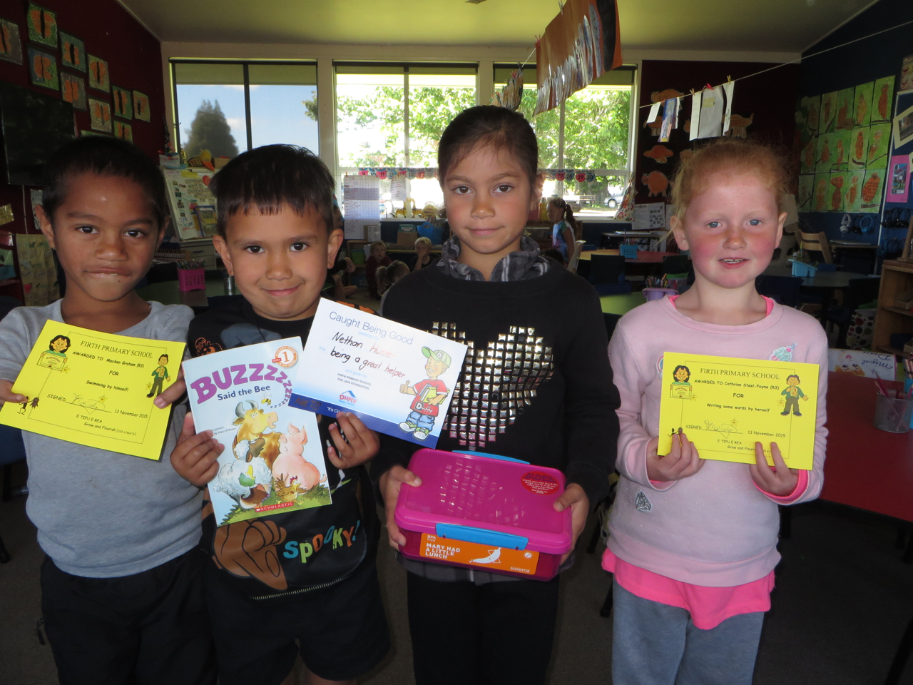 Room 3 Firth Primary School: 2015