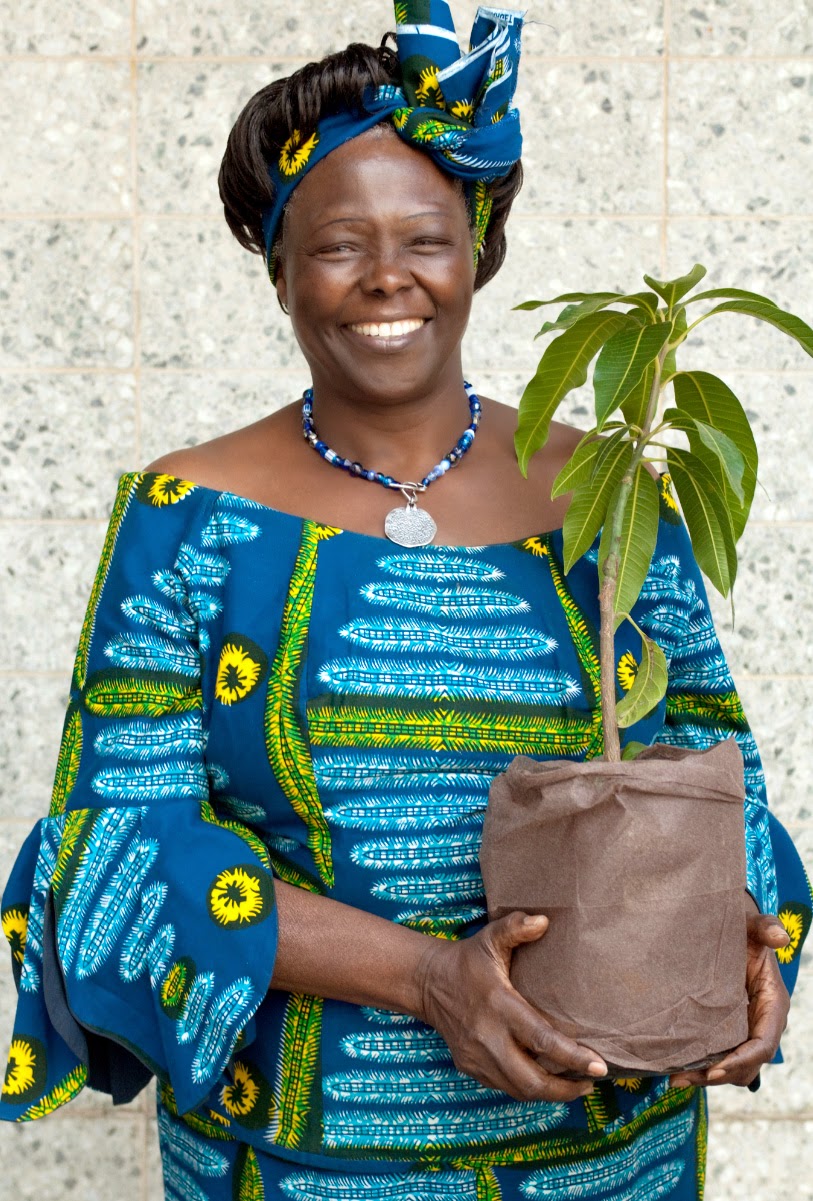 Living Wangari Maathai’s dream - Sustainable Green Initiative ...