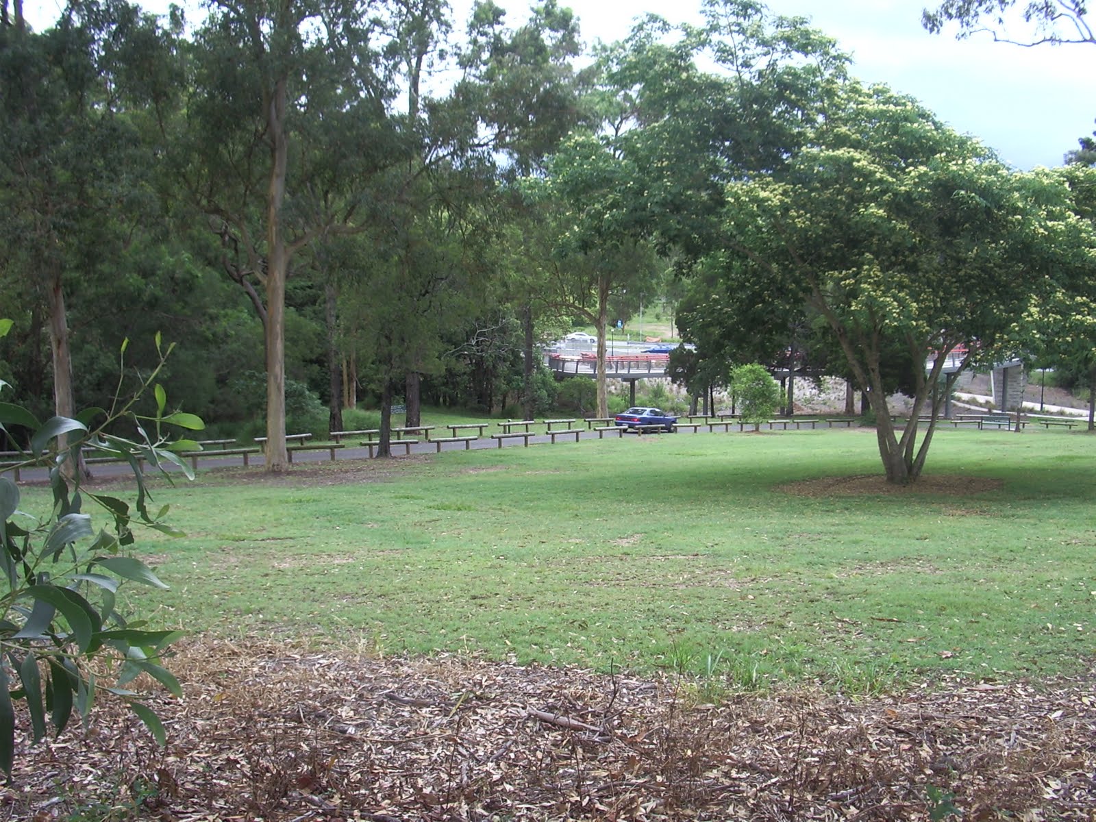 'Friends of ANZAC Park' Toowong (FAPT): ANZAC PARK PHOTOS