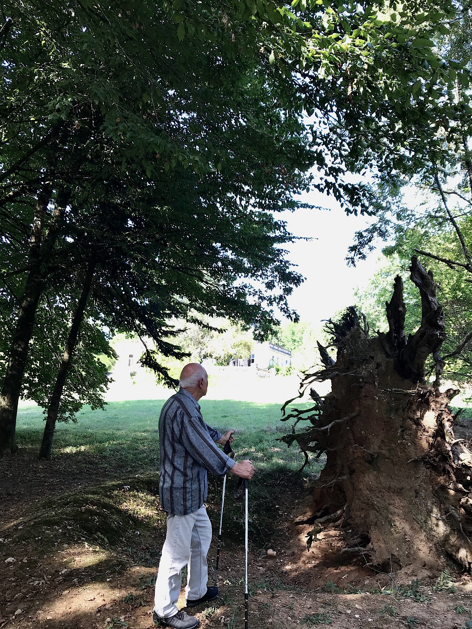 alain piot di massimo