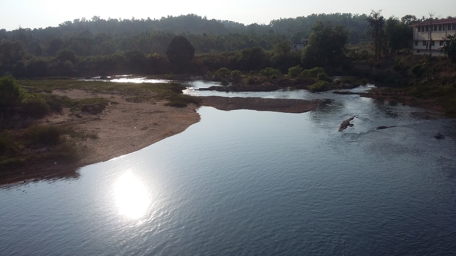 Ramblings and Musings