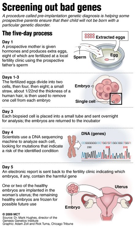 Biology Blog: Topic 2: Designer Babies