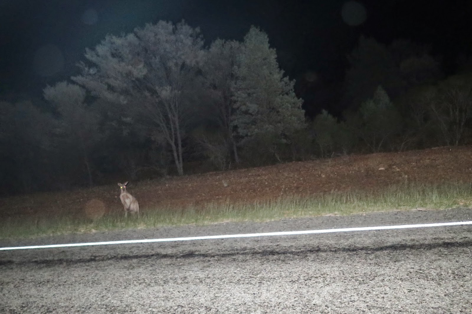 It's what i do: Outback Adventure -Part 1