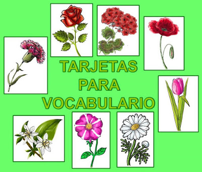 El Monstruito en Monteagudo: Las plantas VII: Tarjetas Vocabulario. Flores.