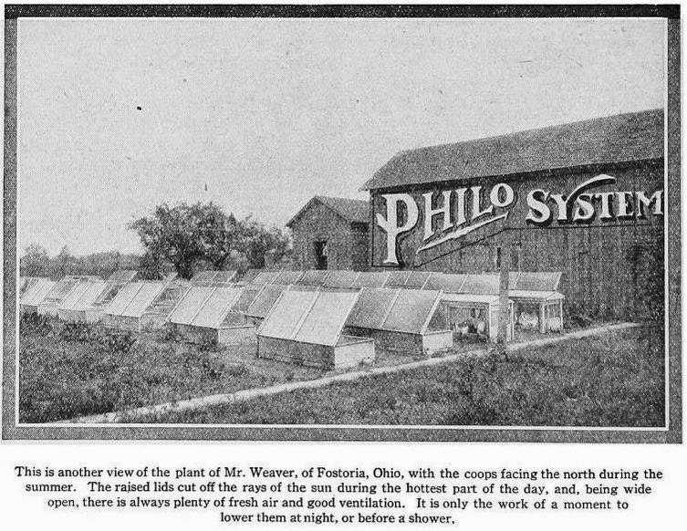 Chemung County Historical Society: The Philo National Poultry Institute ...