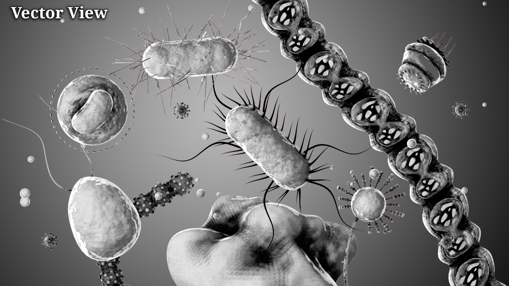 Medlab3D medical animation: Microbes in 2D [example 3D artwork]