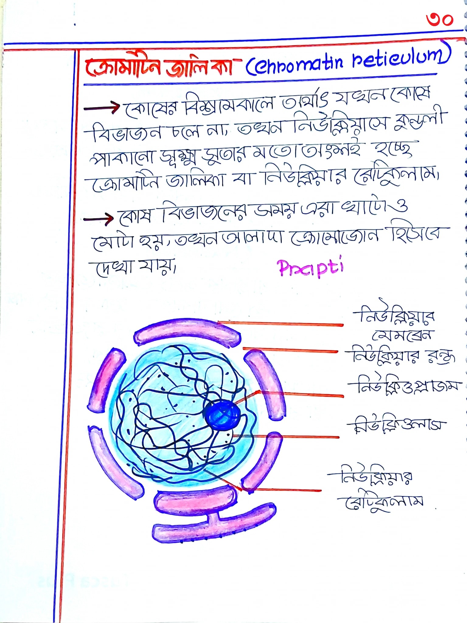 SSC Biology Chapter 2 Hand Note