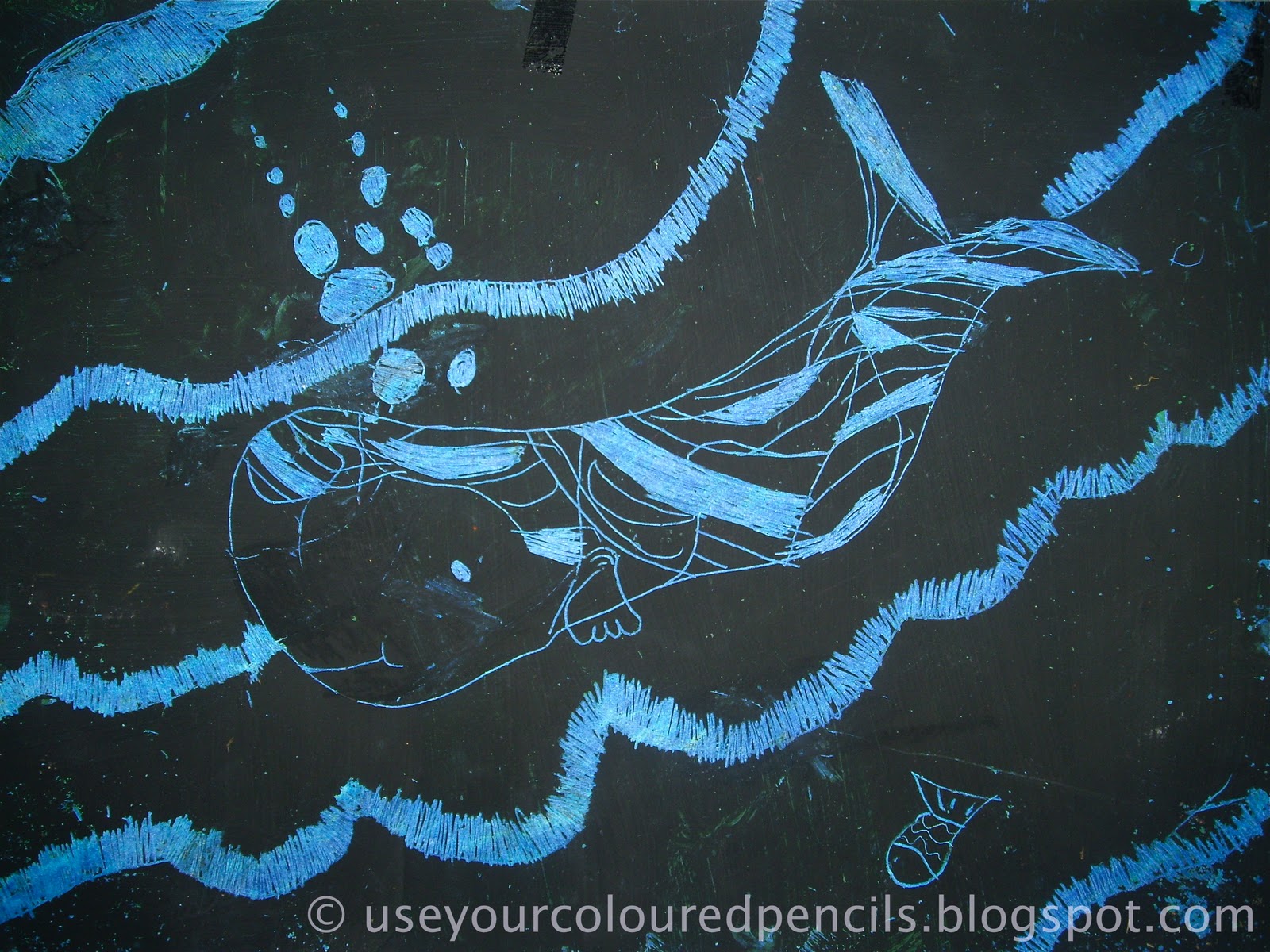 Use Your Coloured Pencils: Scratch Art Whales
