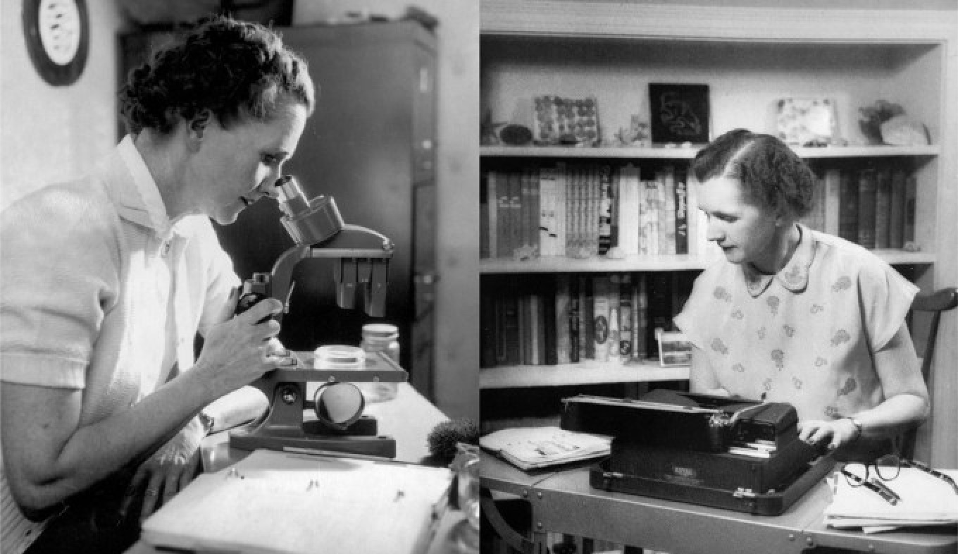 PA Environment Digest Blog: Rachel Carson On Leadership: The Human Race ...