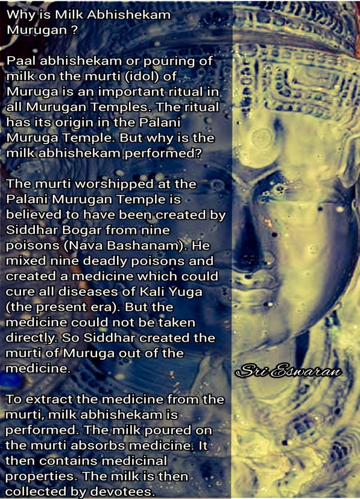 OneTree - The Roots That Connect Us All: Navapashanam the Legendary ...