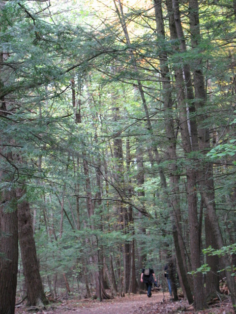 Red Rocks Park -South Burlington, Vermont | Litter with a Story To Tell