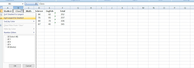 Ms Excel: Merge cells and Sort/Filter