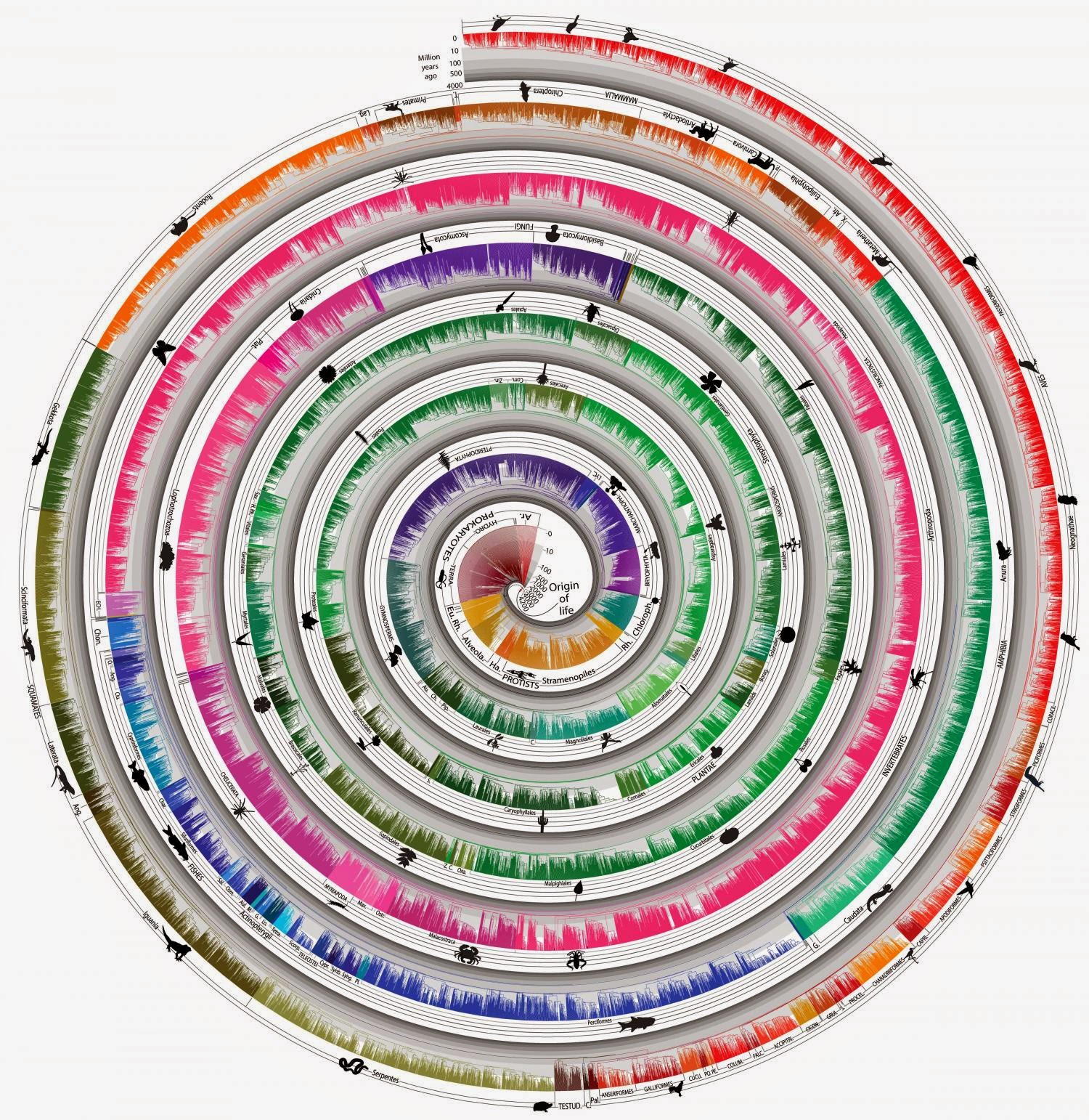 L'évolution de la vie sur terre. - DATAVISIONS
